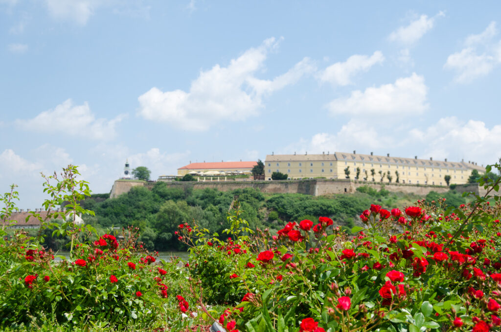 Petrovaradinska Tvrđava - I love Novi Sad